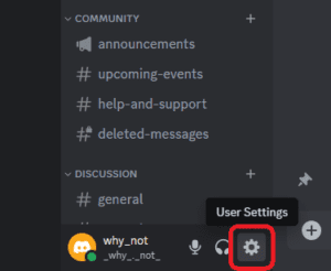 How to Stream Netflix on Discord [Step-by-Step Tutorial]