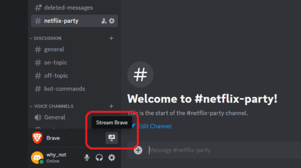 How to Stream Netflix on Discord [Step-by-Step Tutorial]